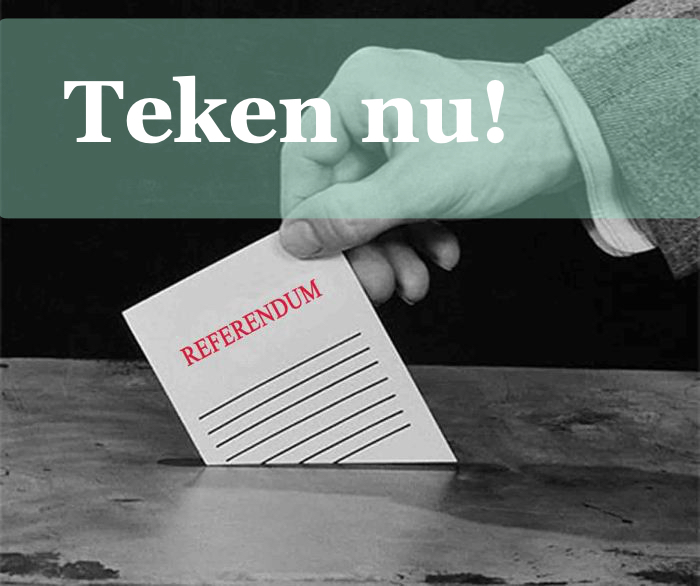 Referenda voor dummies | Meer Democratie